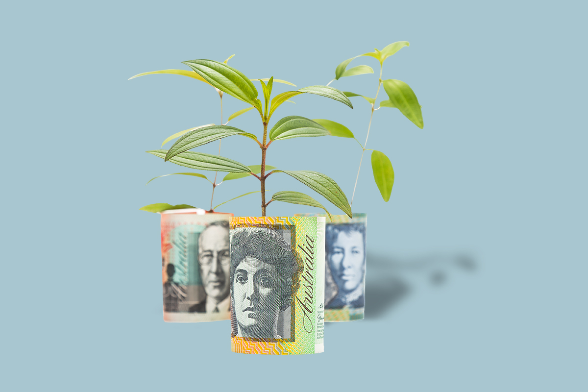 What are franking credits? - Stockspot Blog