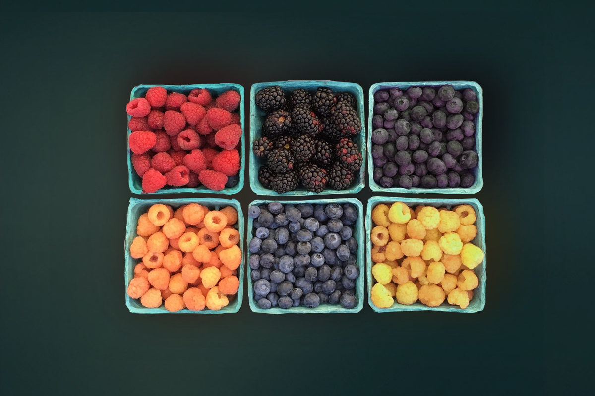 ETFs vs Managed Funds - Stockspot Blog